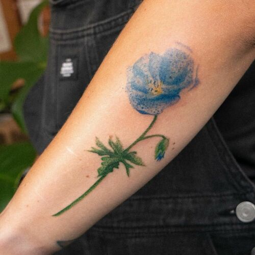 Tattoo made by Ula Mierzwa at INKsearch